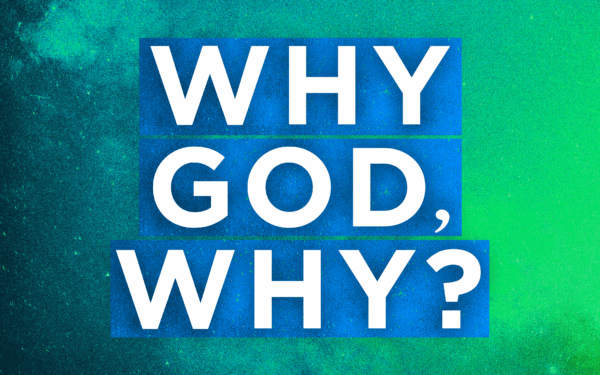 Archive - Verve Archive